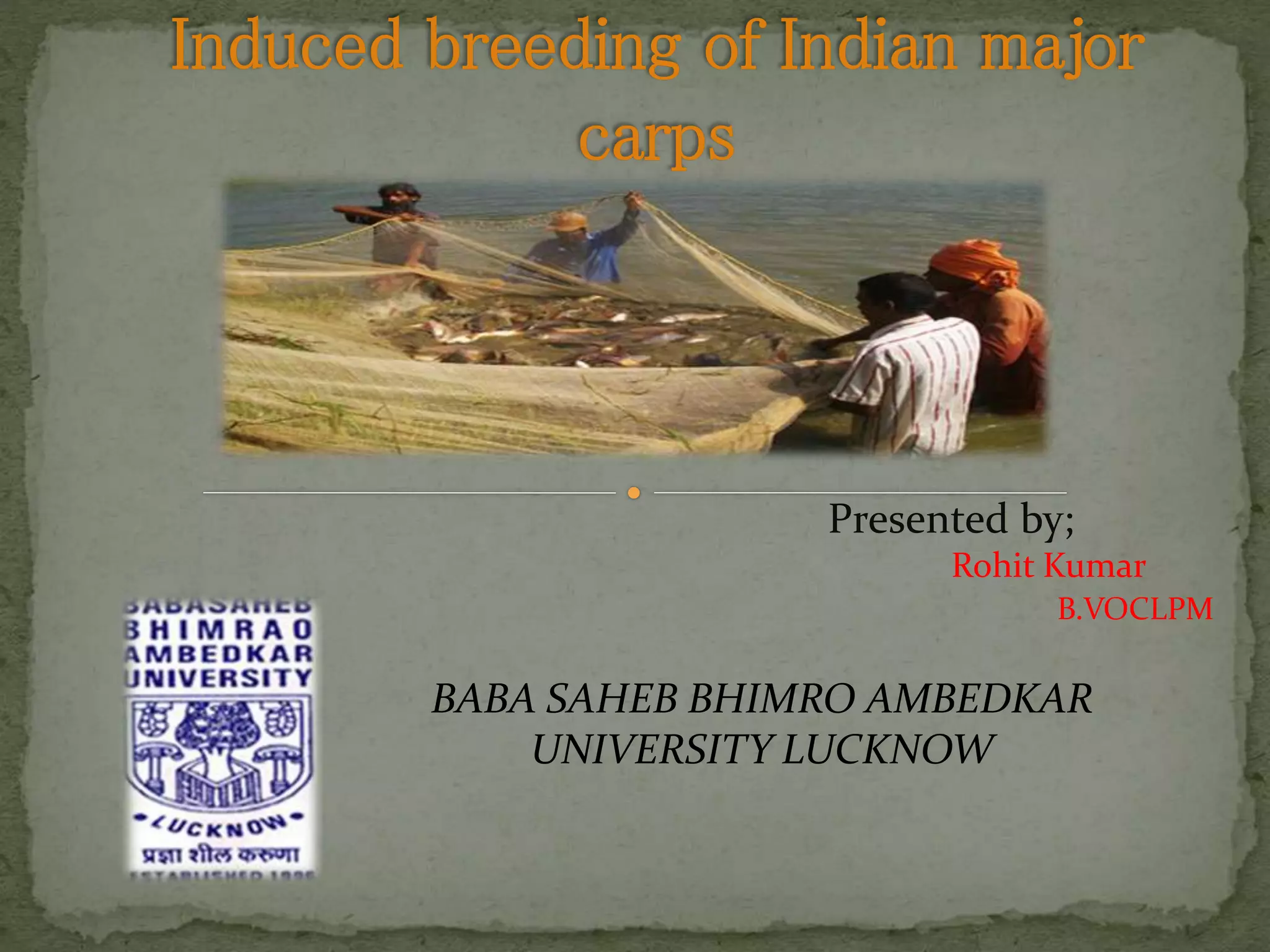 Induced breeding of indian major carps | PPTX