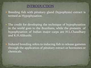 Induced breeding of indian major carps | PPTX