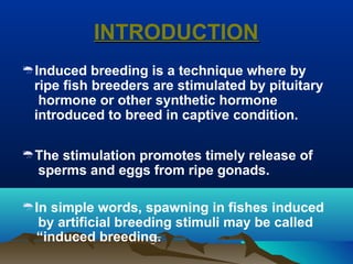 types of breeding, Induced breeding seminar.pptx