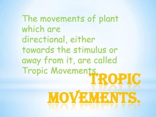 Induced Movements | PPTX