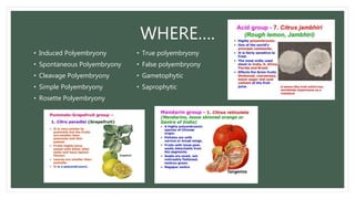 Induced polyembroyony in crop improvement | PPTX