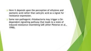 Induced systemic resistance (ISR) mechanism | PPTX