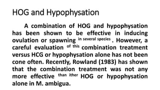 Induced spawning in fin fishes group1 | PPTX