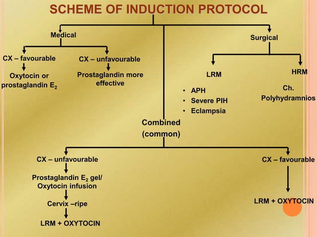 Various methods of induction-of-labour(0) (1).ppt