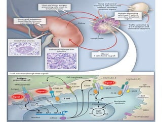 Induction agents in renal transplantation | PPTX