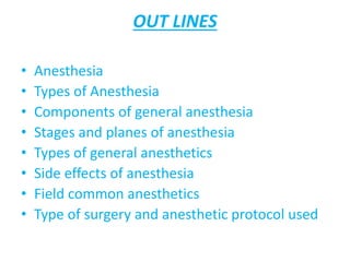 INDUCTION AND MAINTANANCE OF ANESTHESIA IN FIELD CONDITION IN ANIMALS | PPT