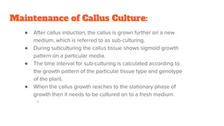 Induction_and_maintenance_of_callus_and_cell_suspension_culture[1].pdf