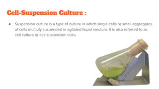 Induction_and_maintenance_of_callus_and_cell_suspension_culture[1].pdf