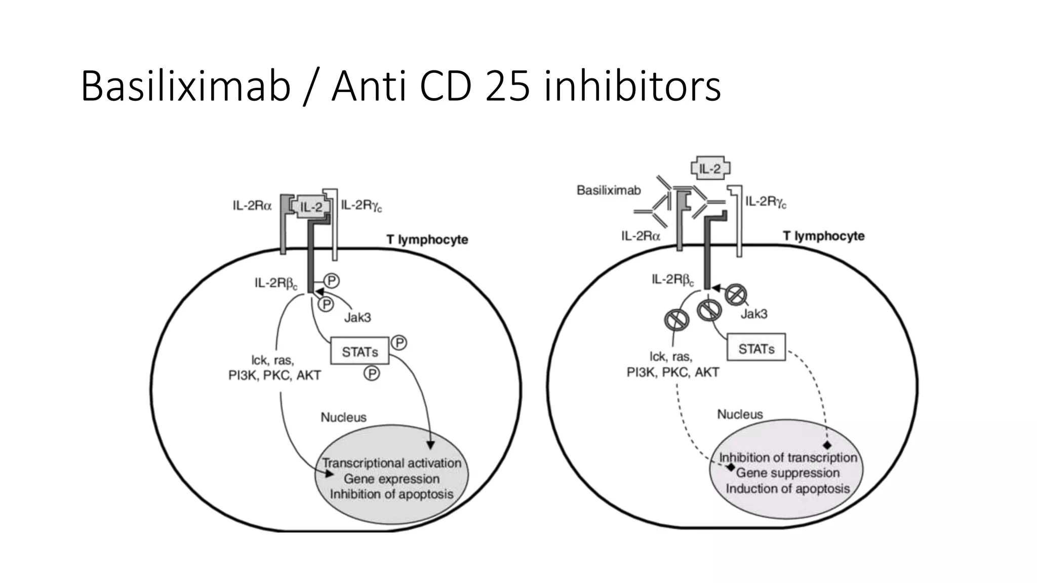 INDUCTION IMMUNOSUPPRESSION.pptx