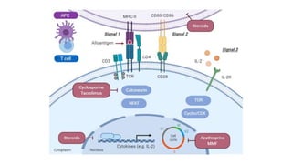 INDUCTION IMMUNOSUPPRESSION.pptx