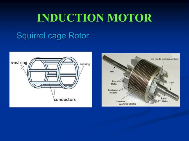 INDUCTION MOTOR PPT.ppt
