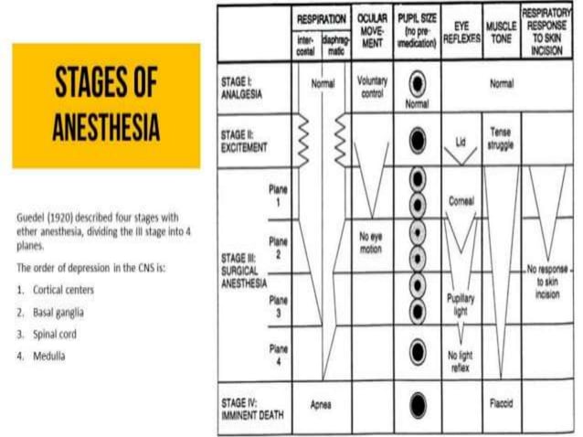 Induction of anaesthesia | PPTX | First Aid | Injuries