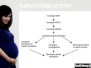Induction of labour | PPTX