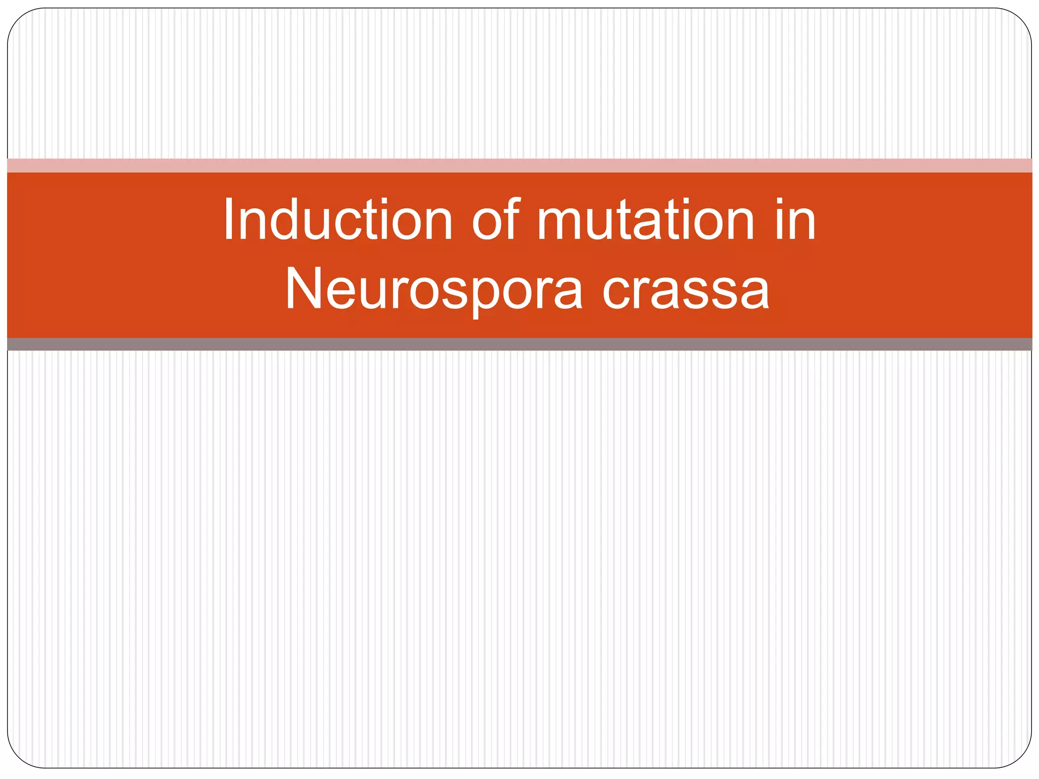 Induction of mutation in neurospora crassa and yeast | PPTX