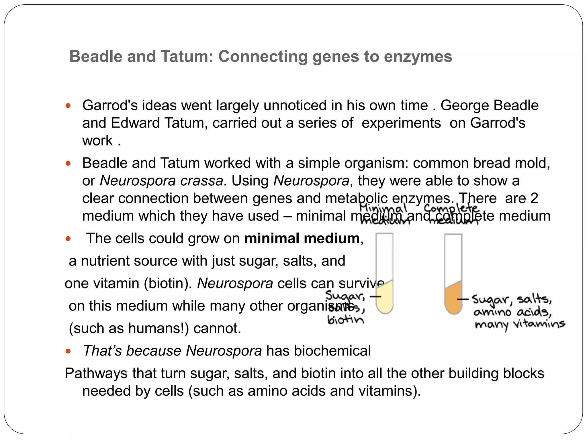 Induction of mutation in neurospora crassa and yeast | PPTX