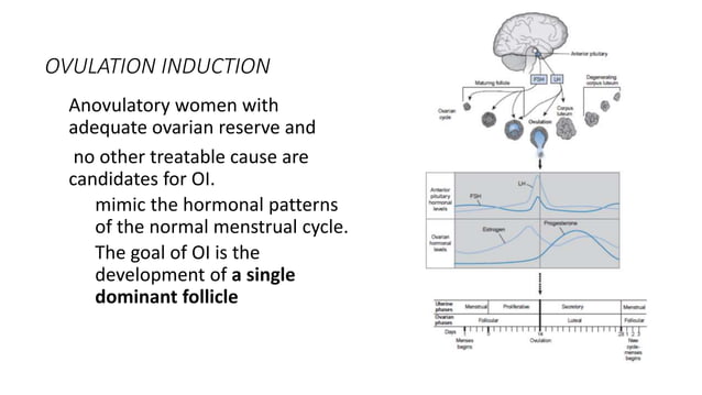 Induction of ovulation | PPTX