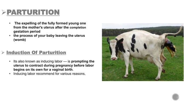 induction of parturition.pptx