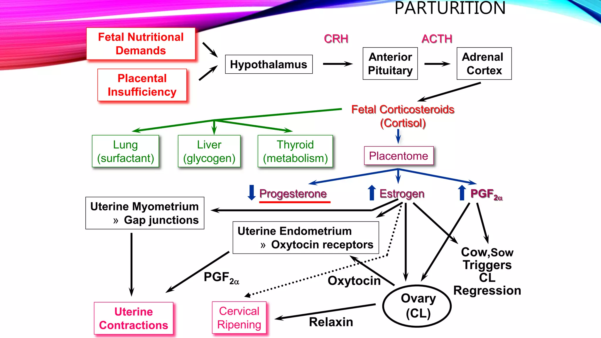 Induction of parturition & elective termination of pregnancy | PPTX
