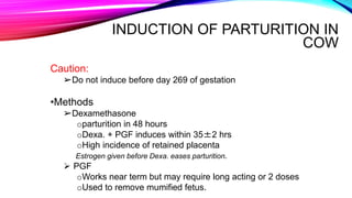 Induction of parturition & elective termination of pregnancy | PPTX