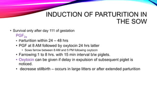 Induction of parturition & elective termination of pregnancy | PPTX