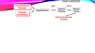 Induction of parturition & elective termination of pregnancy | PPTX