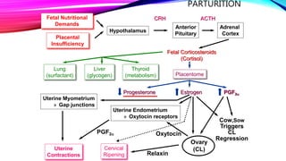 Induction of parturition & elective termination of pregnancy | PPTX