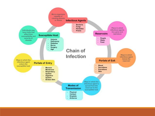 Infection Prevention - Induction program HIC SK.pptx