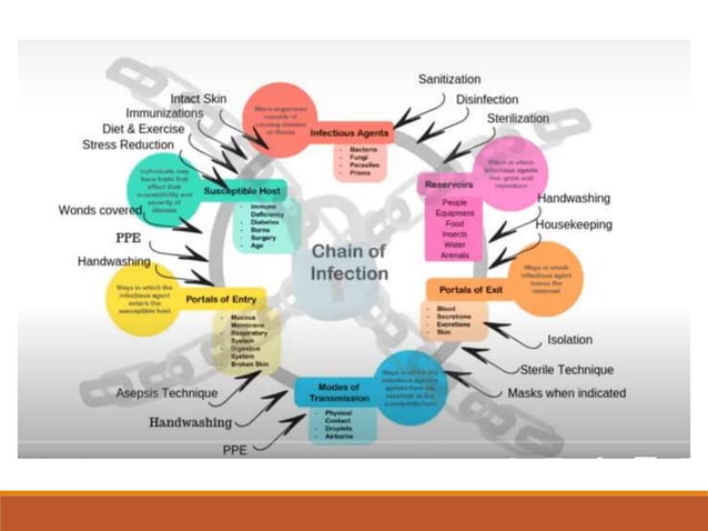 Infection Prevention - Induction program HIC SK.pptx