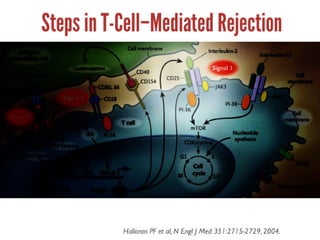 Induction Therapy In Kidney Transplant.pptx