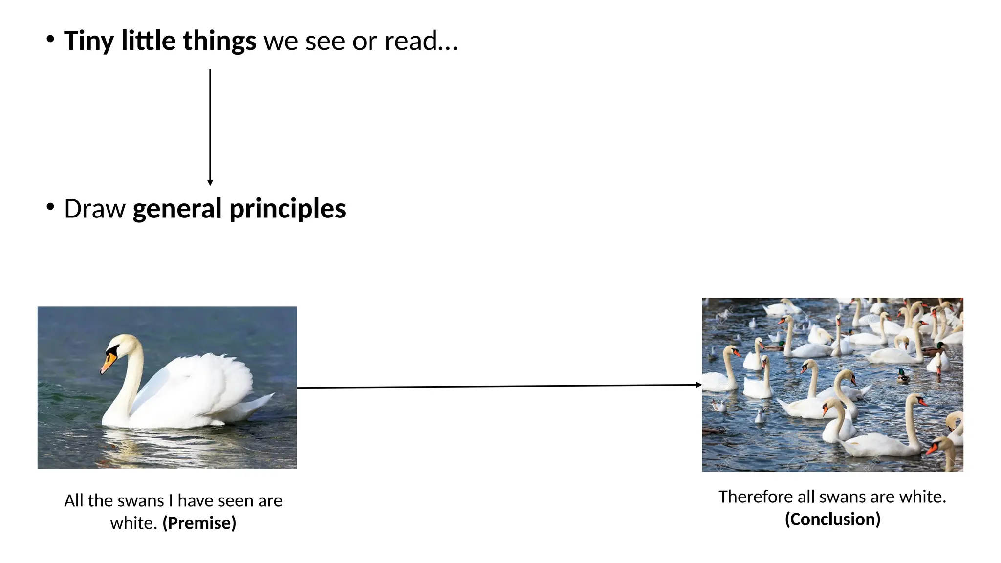 Inductive, deductive and Causal reasoning.pptx