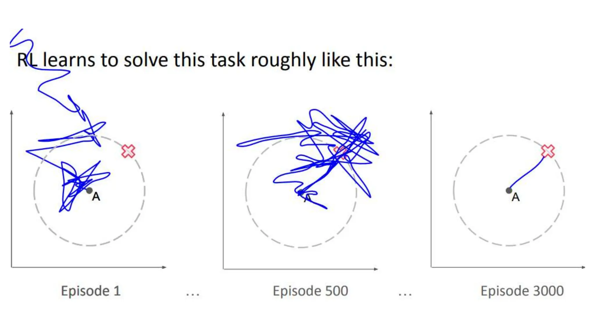 inductive human biases.pptx