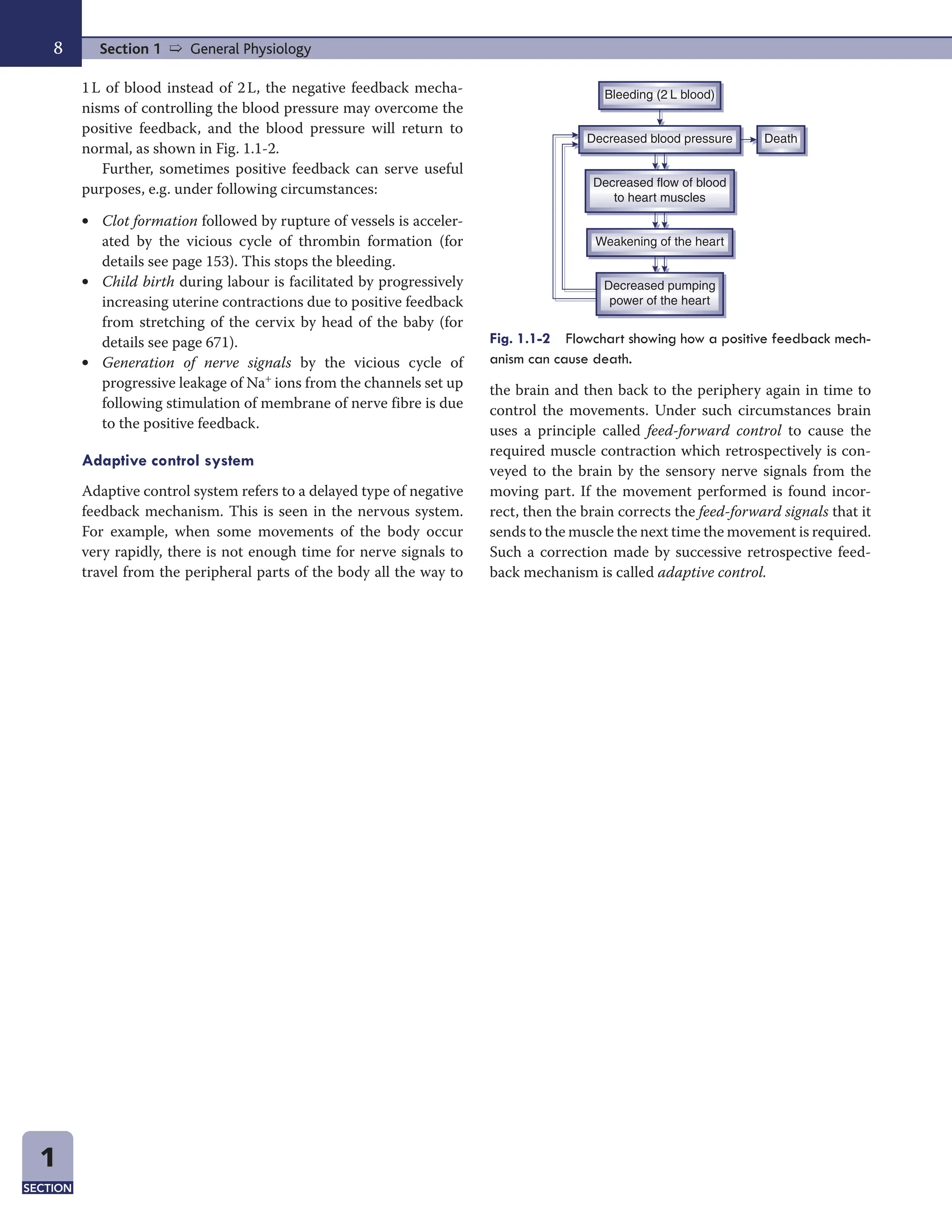 physiology for medical student (pdf form ) | PDF