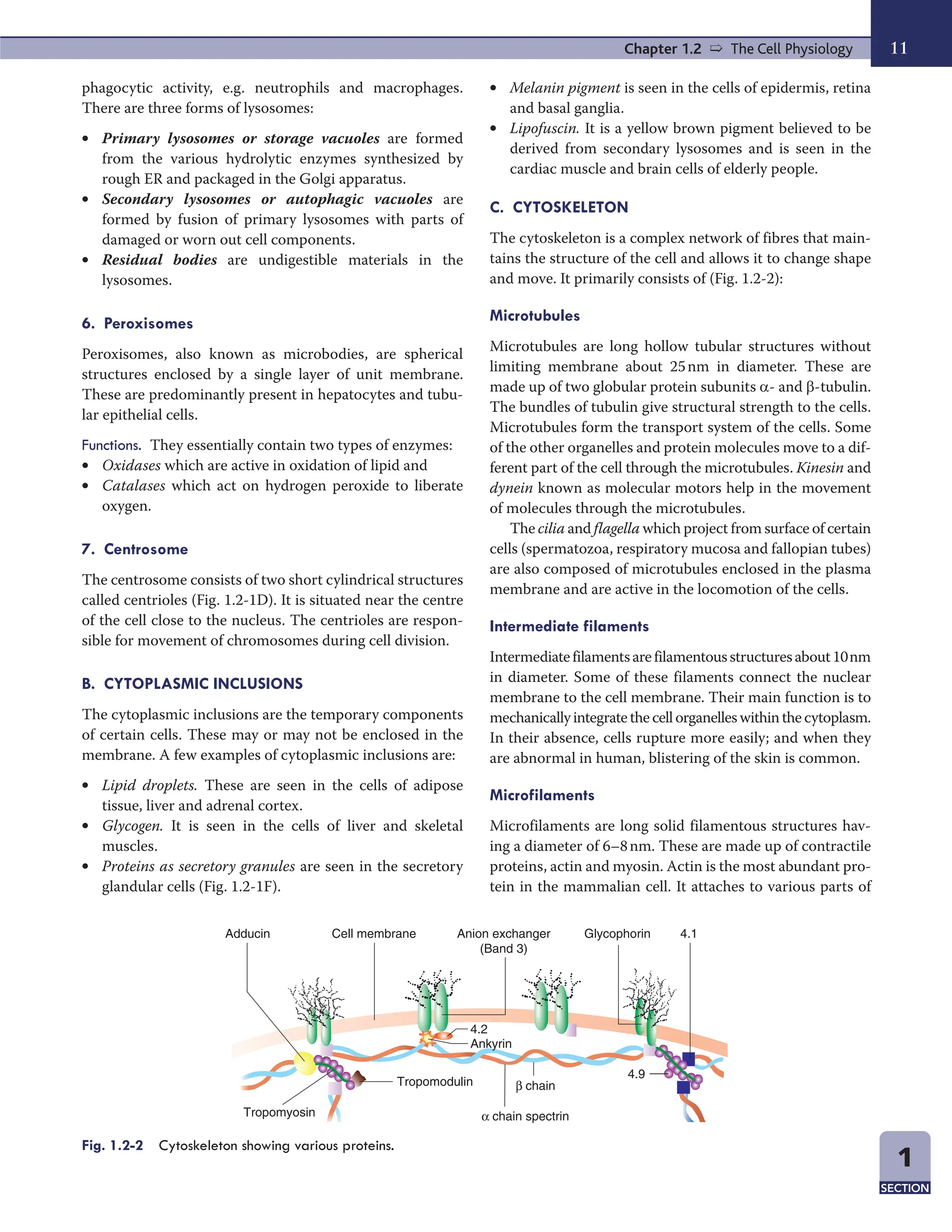 physiology for medical student (pdf form ) | PDF