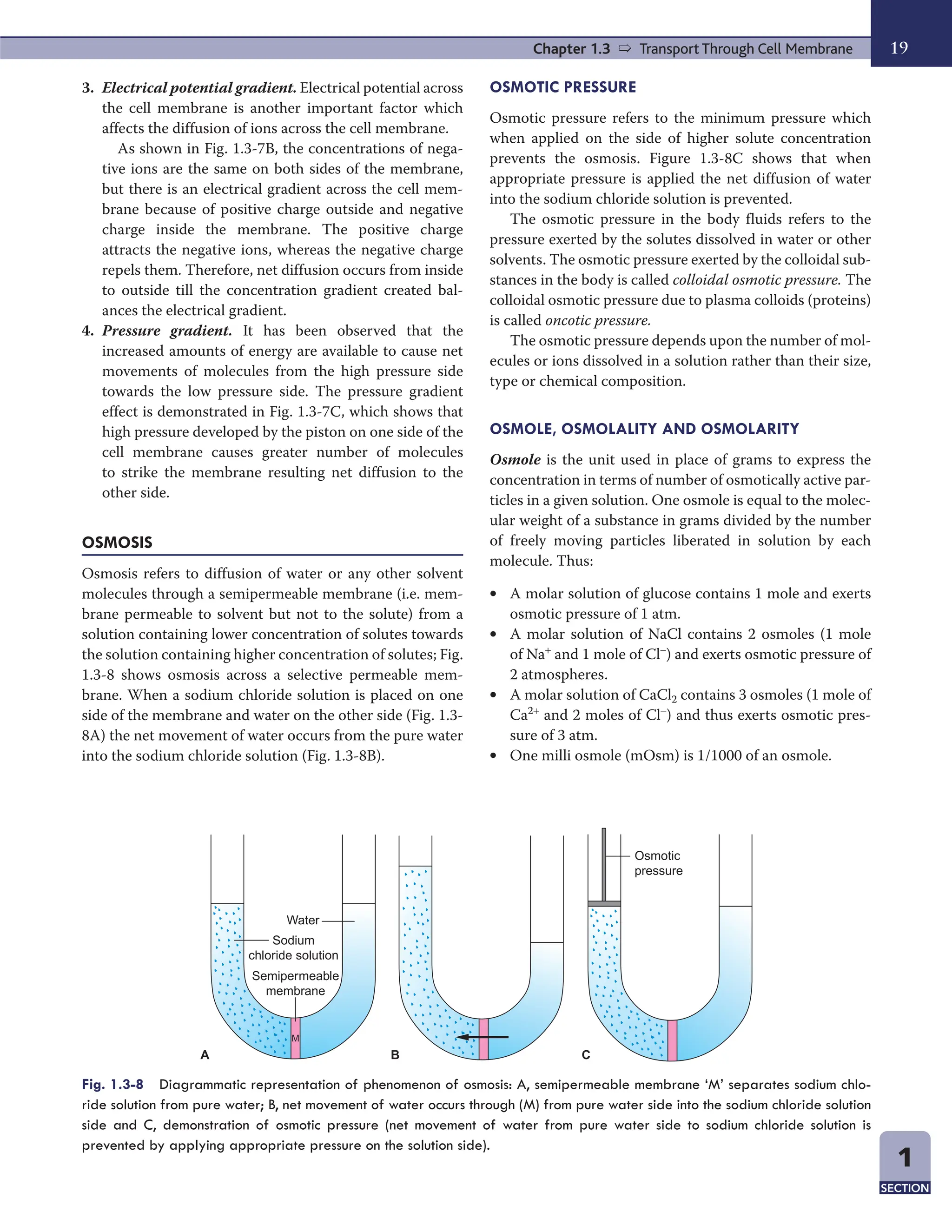 physiology for medical student (pdf form ) | PDF