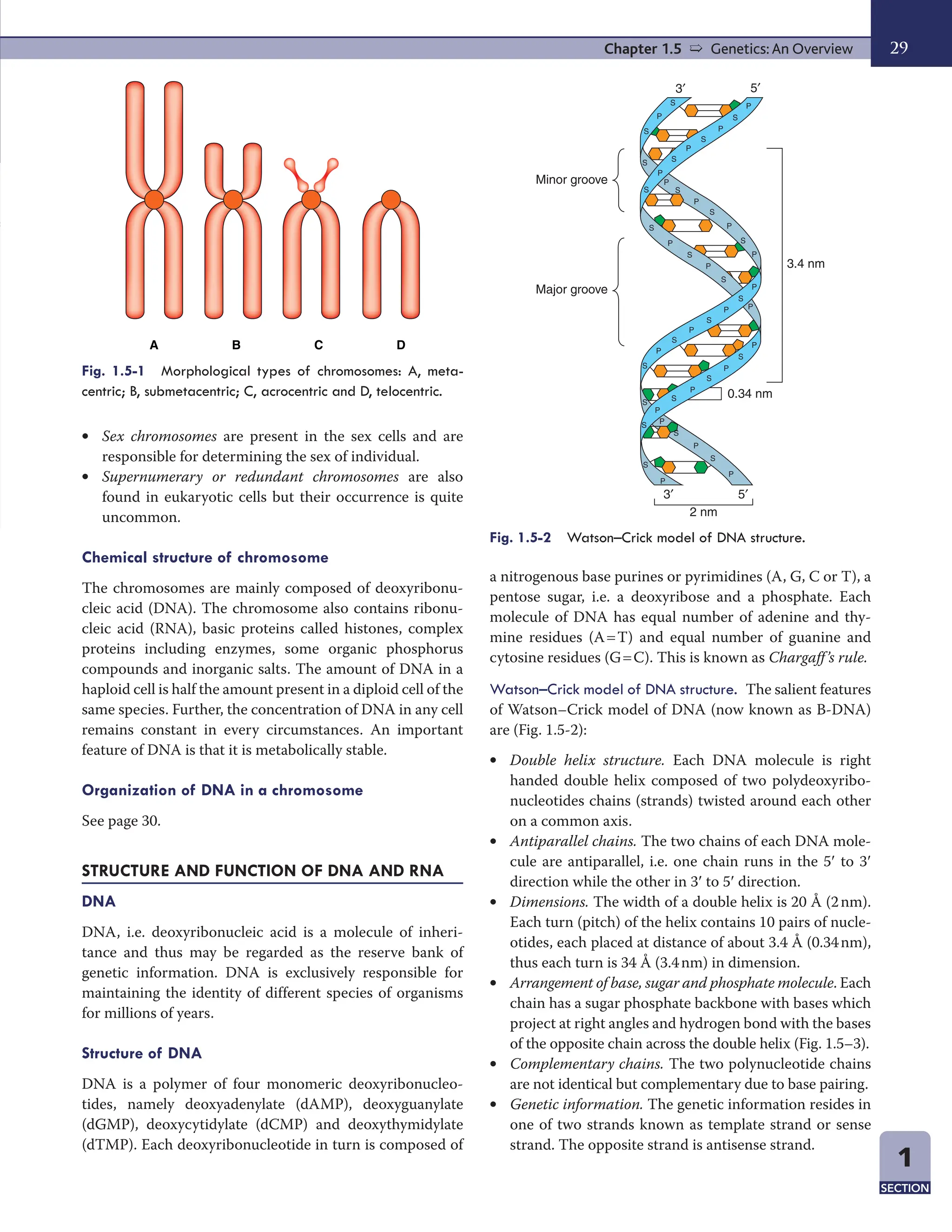 physiology for medical student (pdf form ) | PDF
