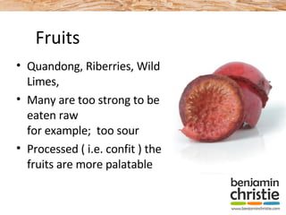 Indulging In Native Australian Foods | PPT