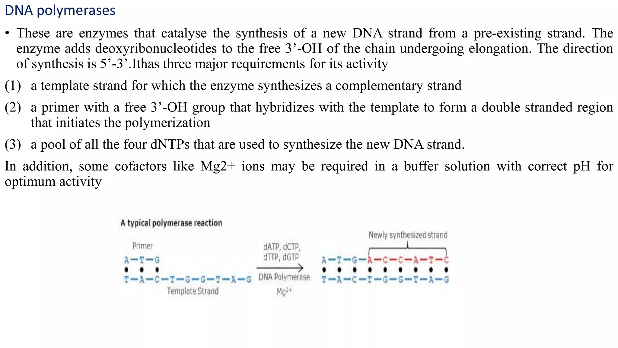 ENZYMES USED IN GENETIC ENGINEERING | PPTX