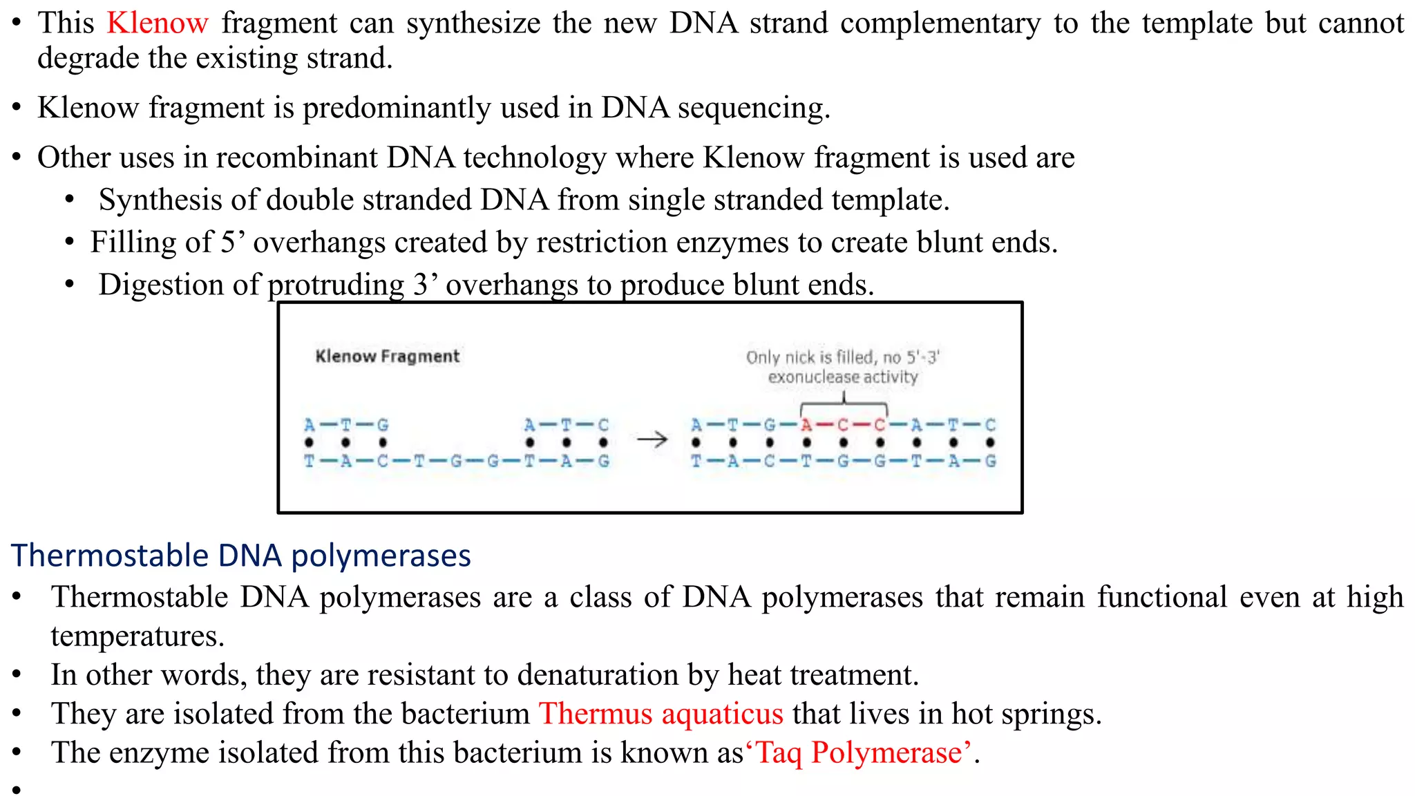 ENZYMES USED IN GENETIC ENGINEERING | PPTX
