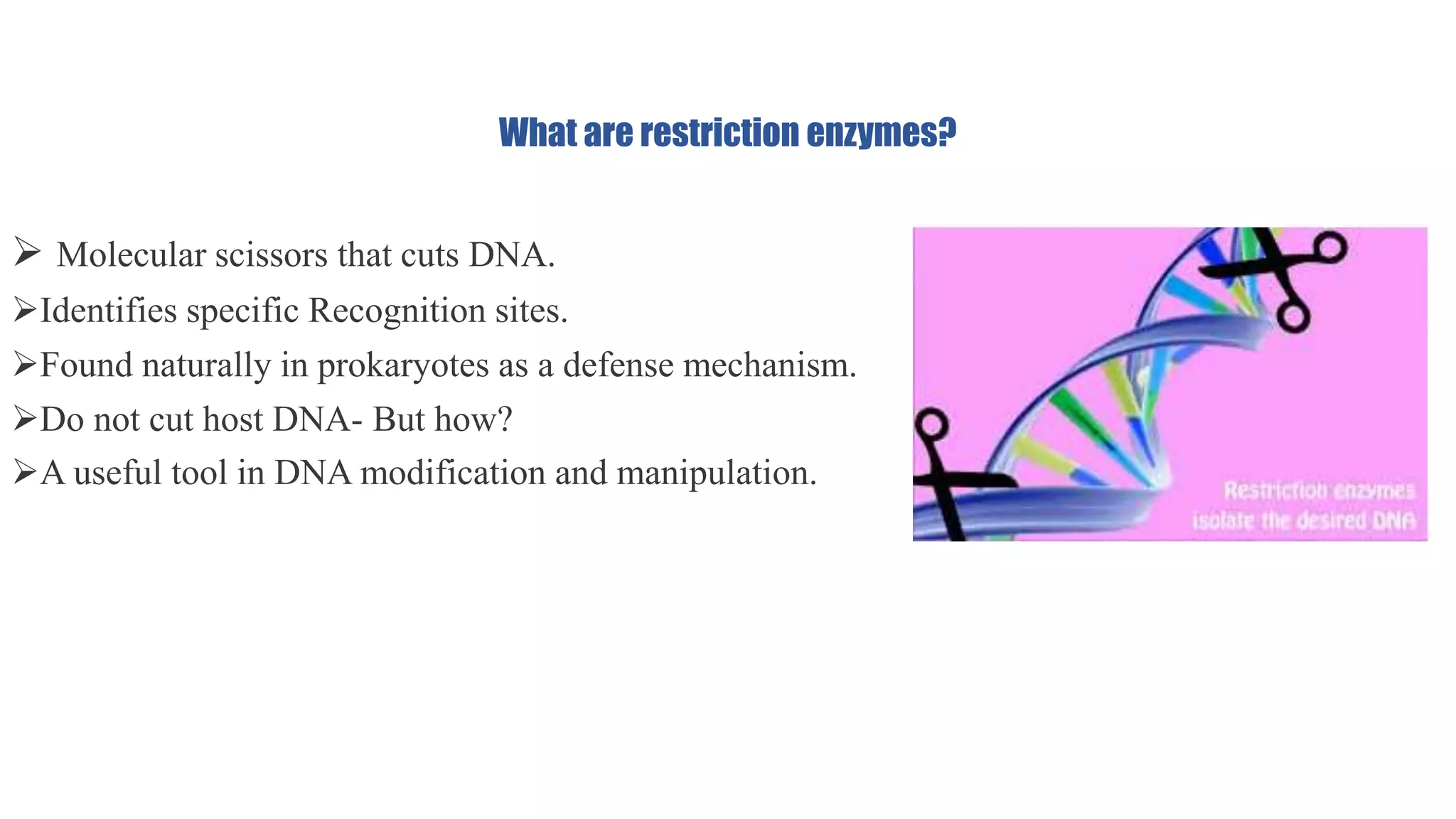 ENZYMES USED IN GENETIC ENGINEERING | PPTX