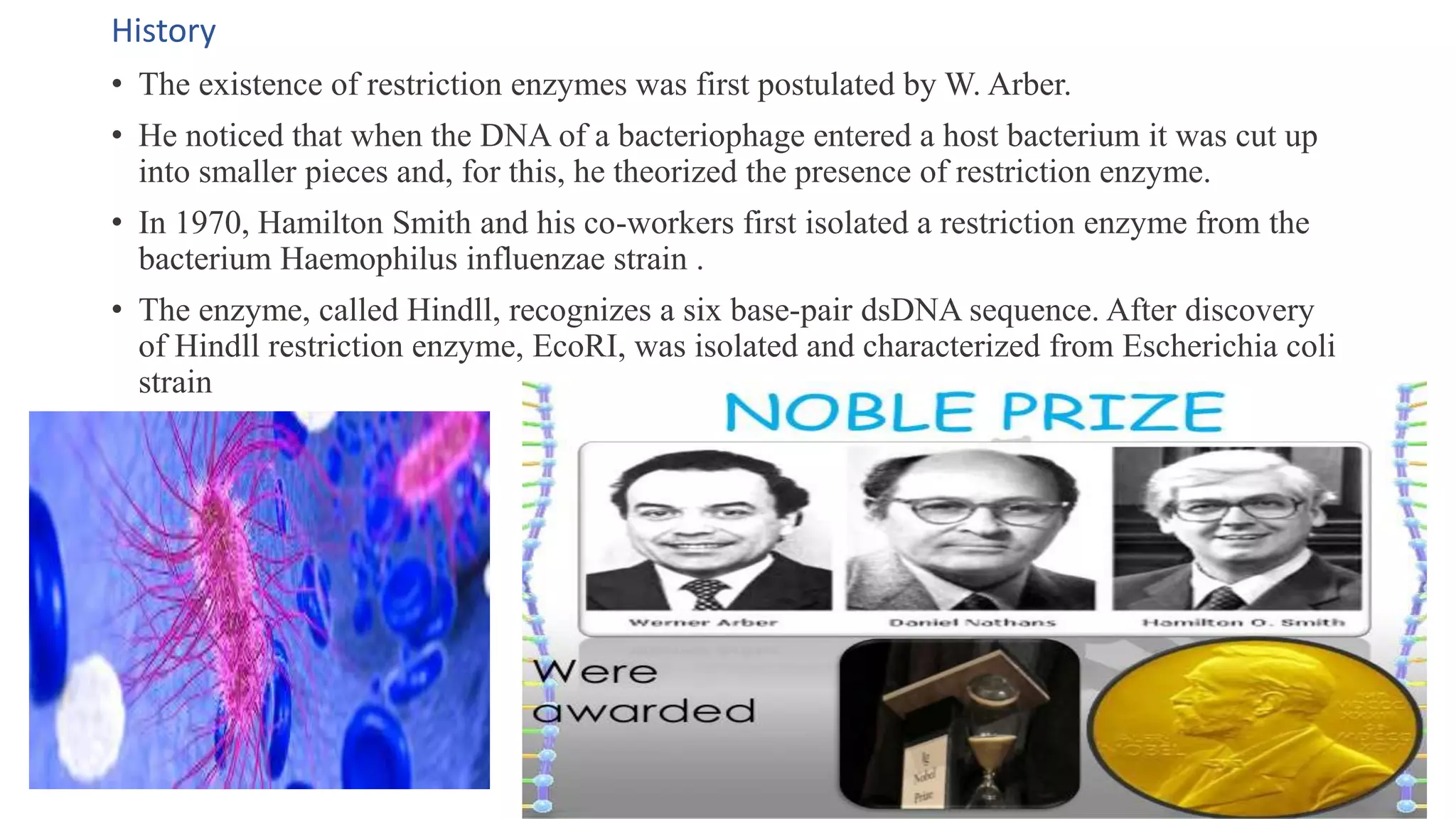 ENZYMES USED IN GENETIC ENGINEERING | PPTX