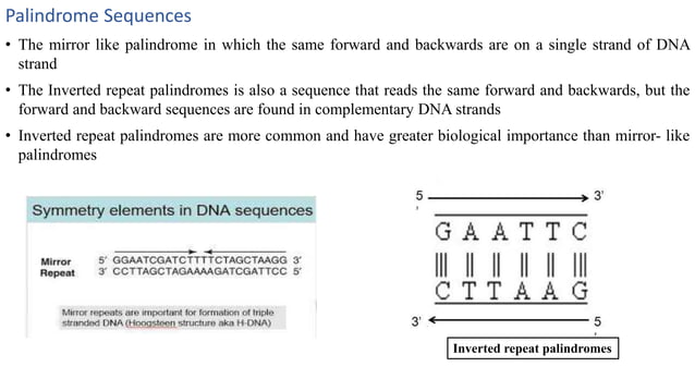 ENZYMES USED IN GENETIC ENGINEERING | PPTX | Programming Languages ...