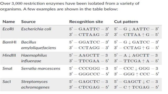 ENZYMES USED IN GENETIC ENGINEERING | PPTX | Programming Languages ...
