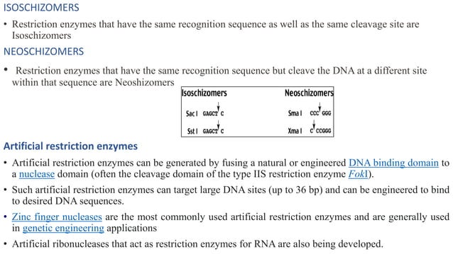 ENZYMES USED IN GENETIC ENGINEERING | PPTX | Programming Languages ...