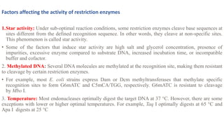 ENZYMES USED IN GENETIC ENGINEERING | PPTX