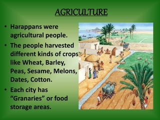 Indus civilization ppt | PPTX