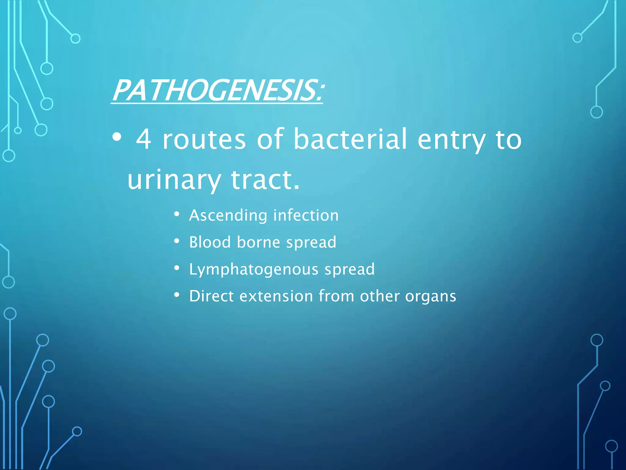 urinary tract infection | PPTX