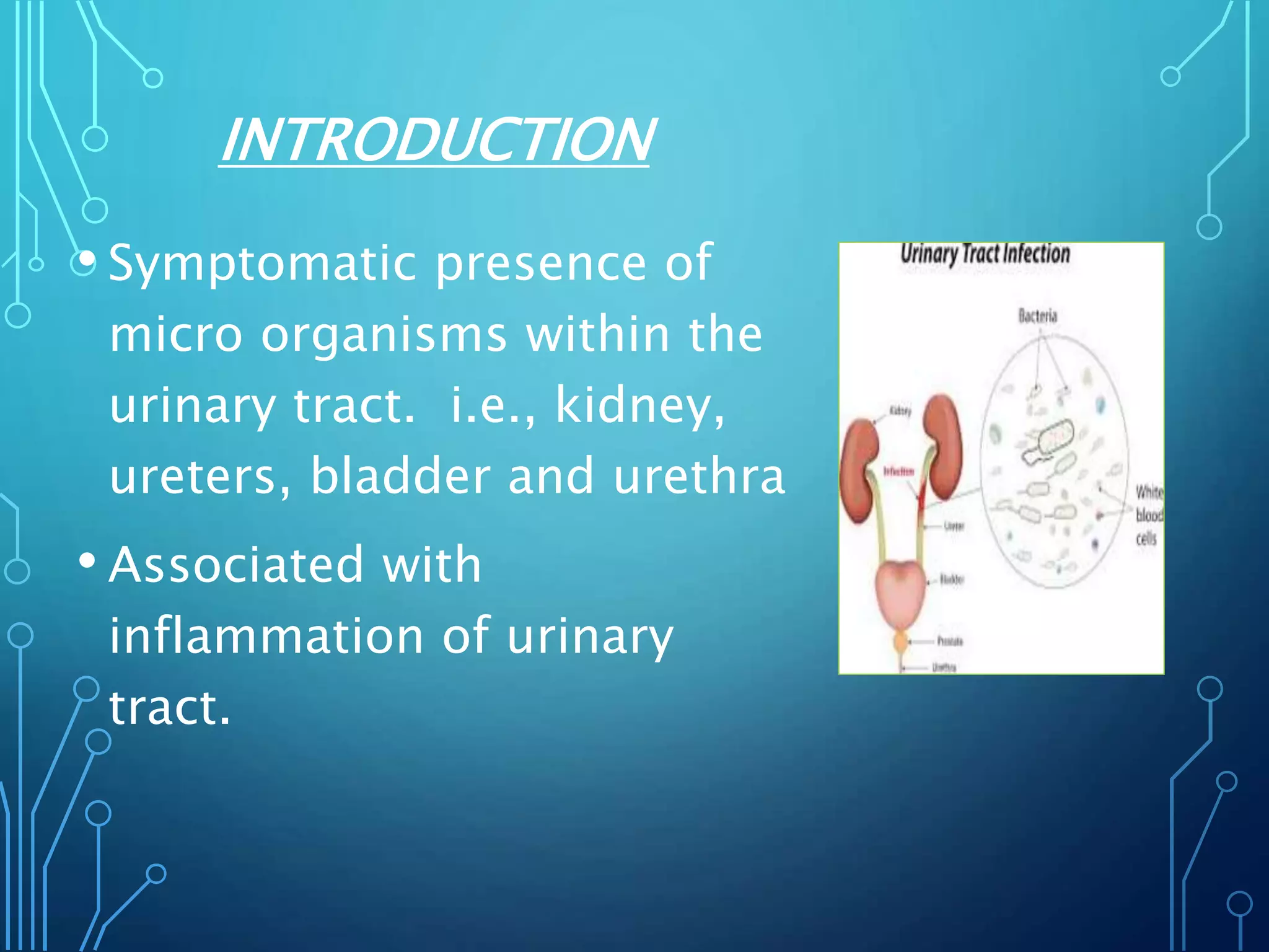 urinary tract infection | PPTX