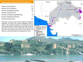 Indus river basin paper hasrat | PPT
