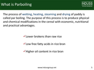 Induss company overview 10-02-2010 | PPTX