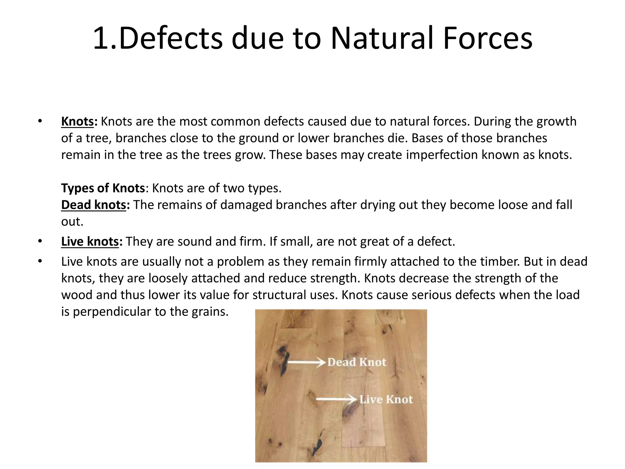 Industrial project in timber(FRI) | PDF